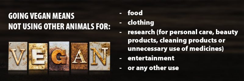 Becoming Vegan - Go Vegan World