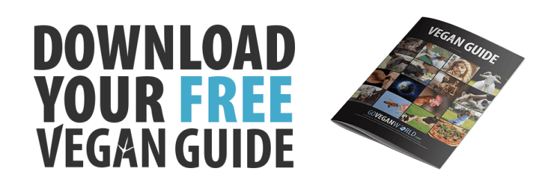 Download Your Free Vegan Guide - Go Vegan World