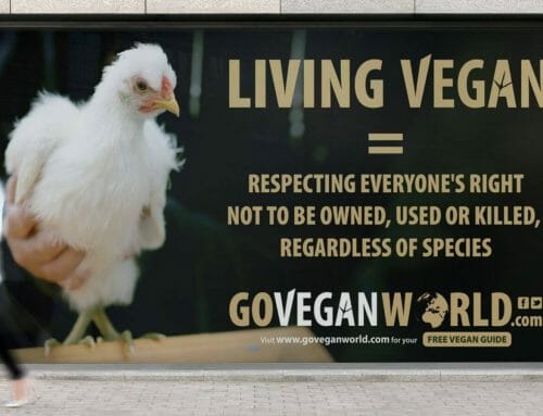 Over 2000 Go Vegan World ads for Christmas & New Year - Go Vegan World