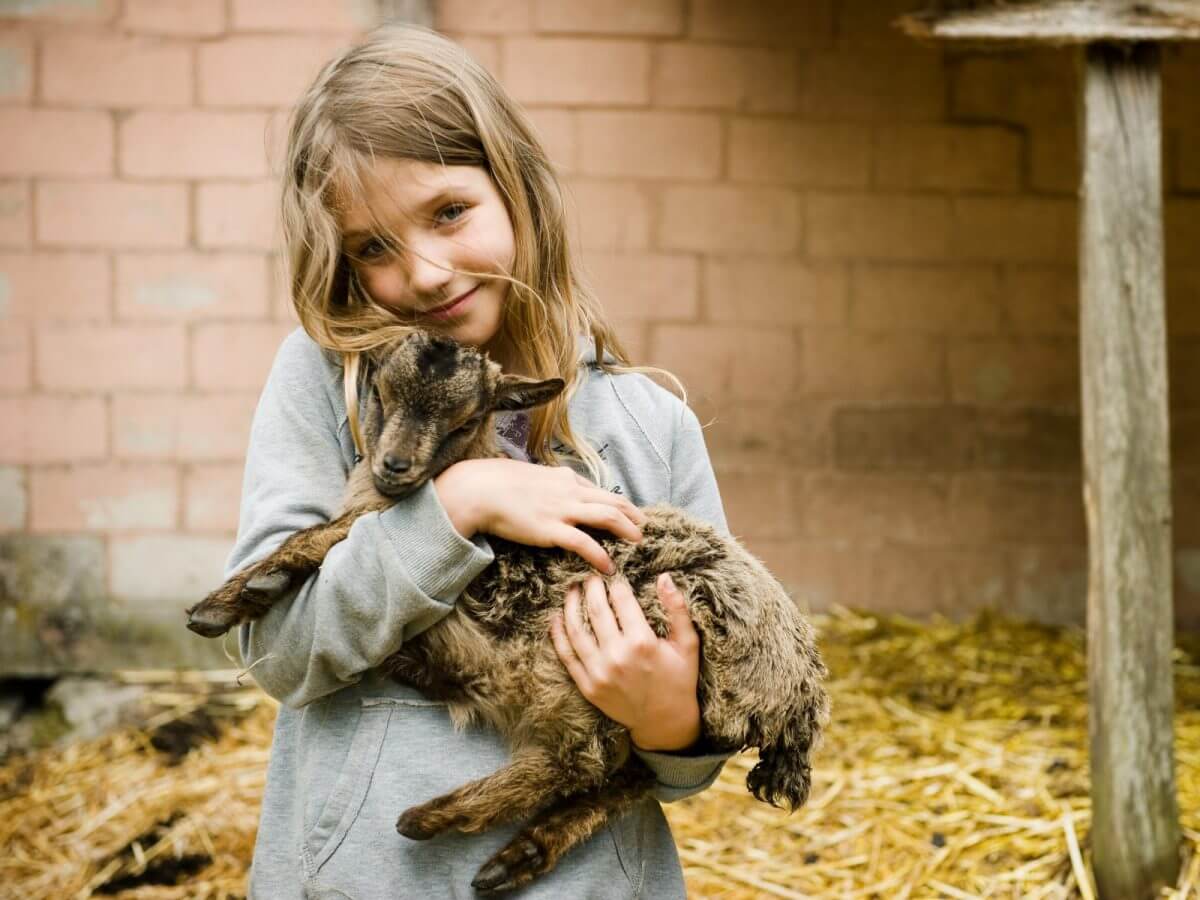 Vegan Children: Go Vegan World Successfully Challenges Failure to ...