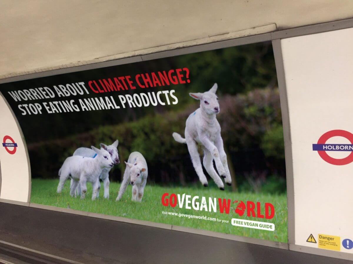 Go Vegan World launches massive Christmas and New Year Campaign in ...