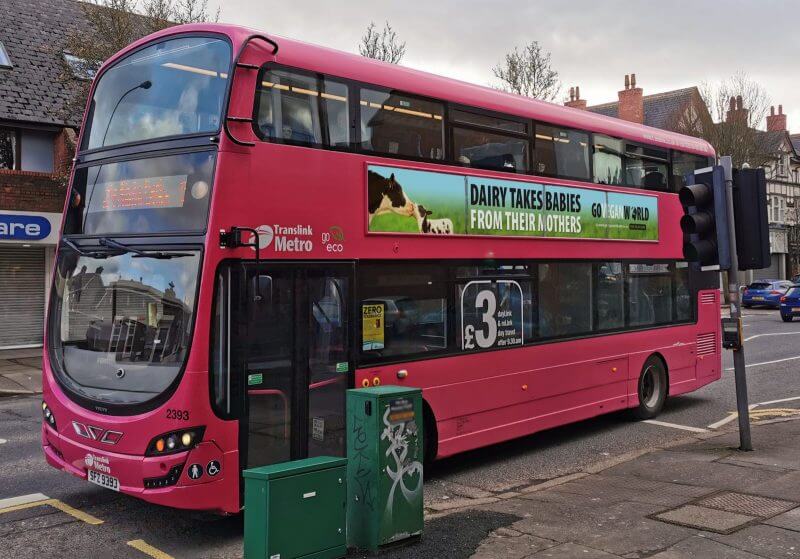 Win for animal rights as Translink backtracks on rejection of Go Vegan ...