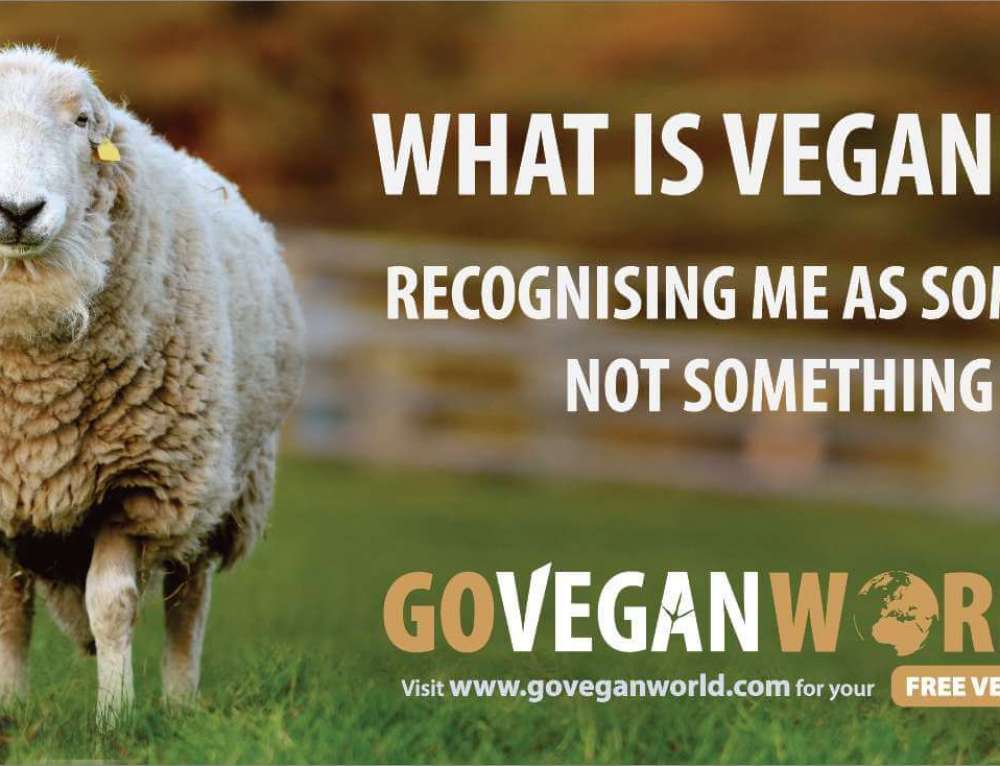 The Psychology of Becoming Vegan - Go Vegan World