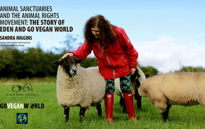 Go Vegan World | Animal Rights * Equality * Justice * Veganism
