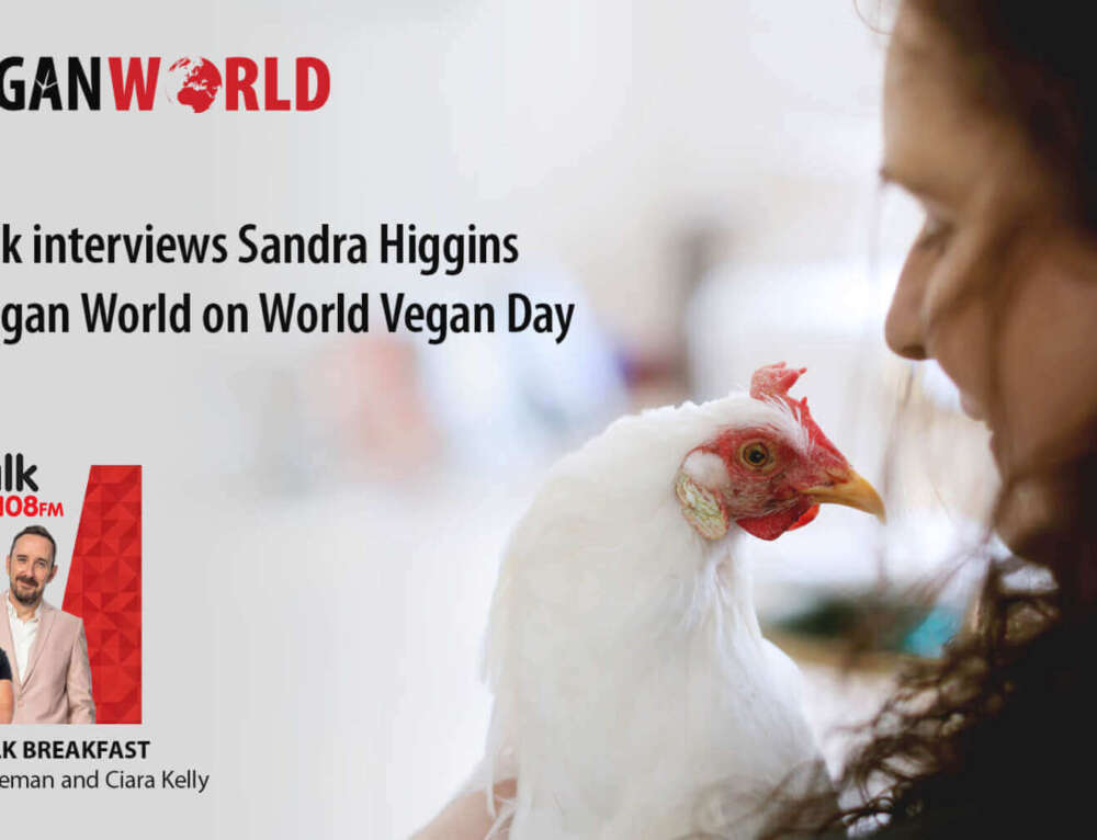 Go Vegan World launch first Vegan TV Advertising Campaign