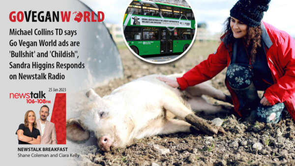 Go Vegan World | Animal Rights * Equality * Justice * Veganism