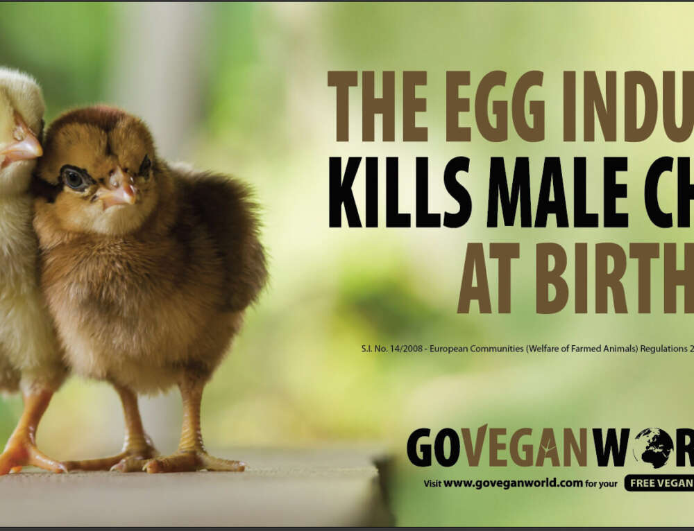 Go Vegan World launch first Vegan TV Advertising Campaign