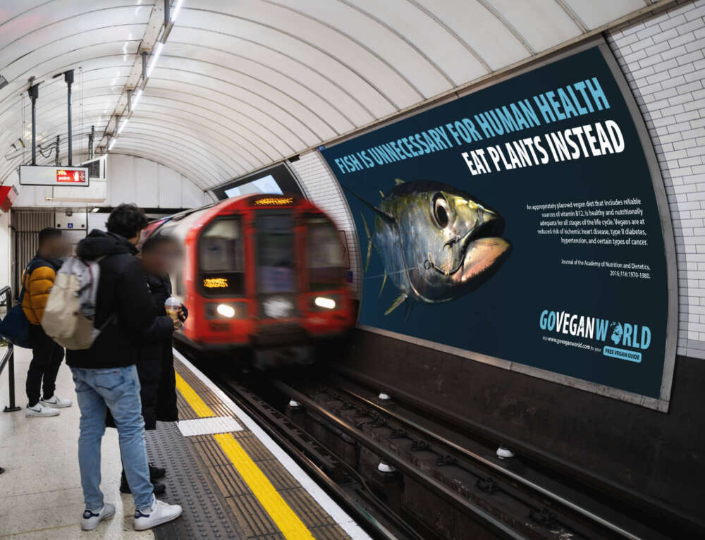 Go Vegan World launch first Vegan TV Advertising Campaign