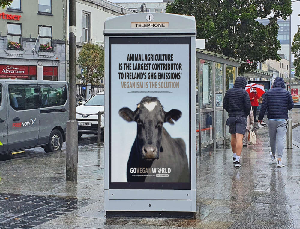 Go Vegan World launch first Vegan TV Advertising Campaign