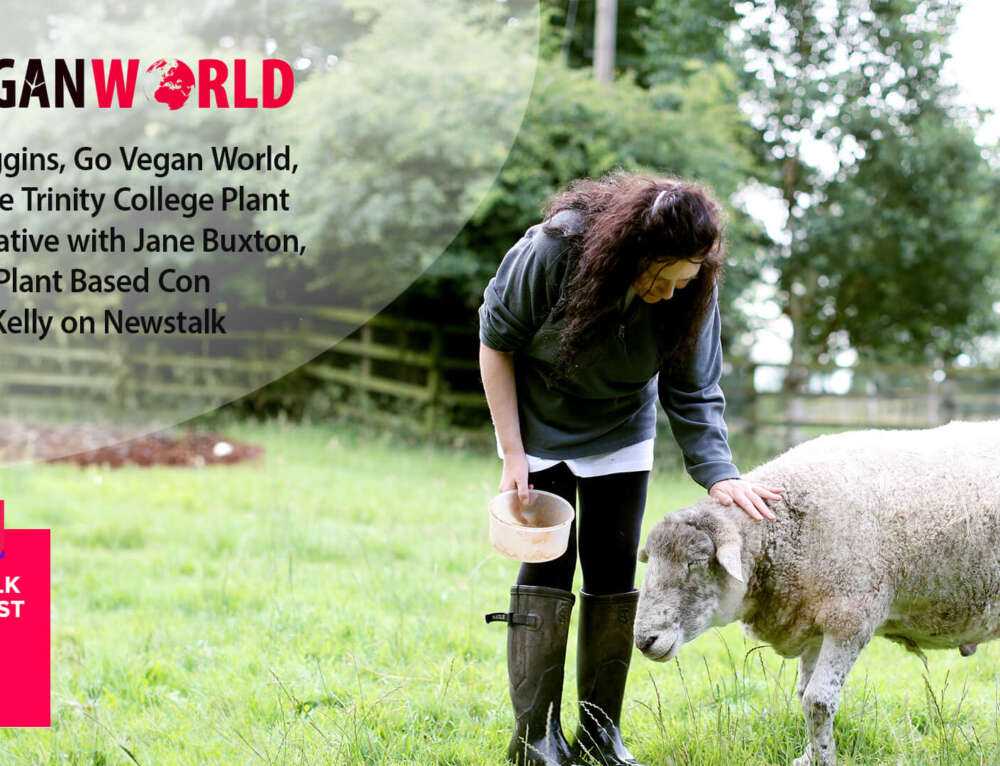 Go Vegan World launch first Vegan TV Advertising Campaign