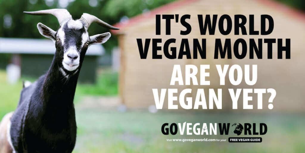 Go Vegan World | Animal Rights * Equality * Justice * Veganism