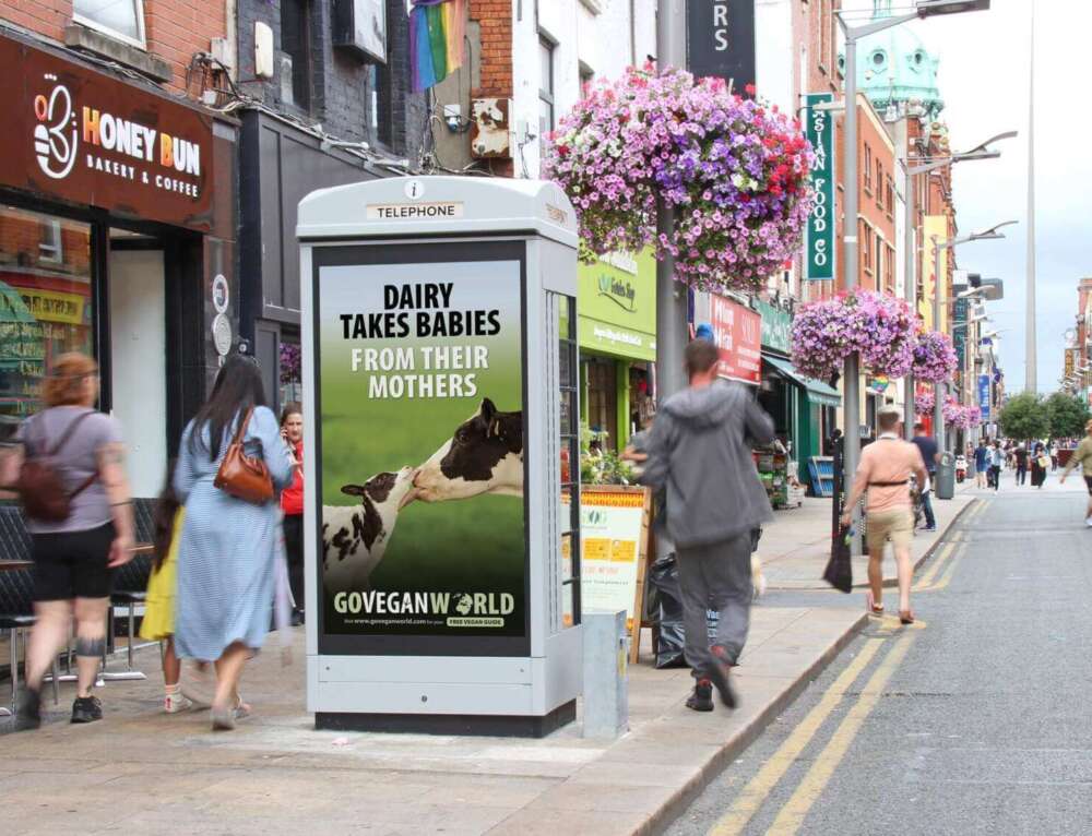 Go Vegan World launch first Vegan TV Advertising Campaign