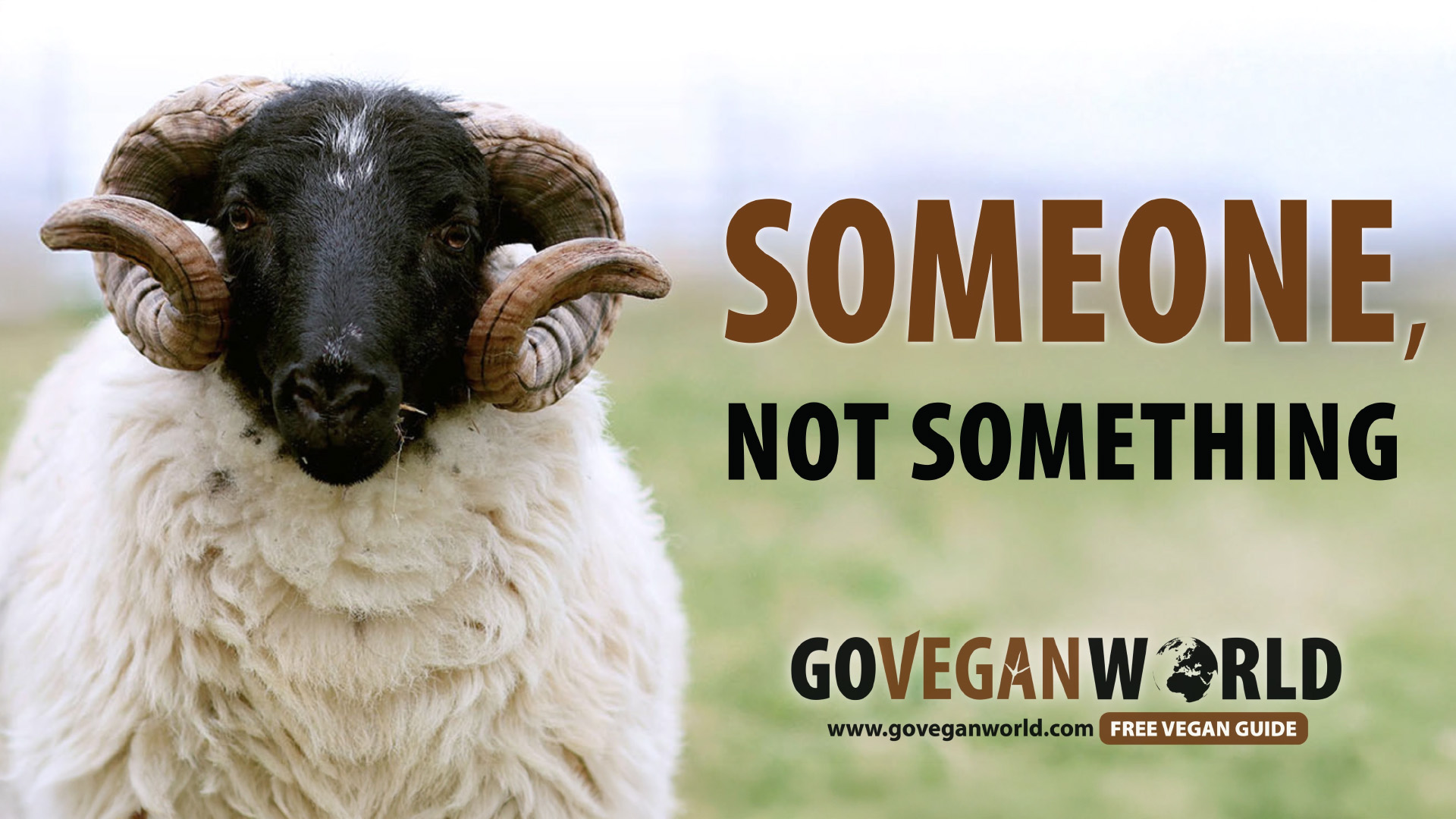 Someone, Not Something: Go Vegan World's New Year 2026 Campaign in ...